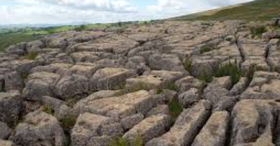 Primet Primary School - Summer 2 - Earthlings