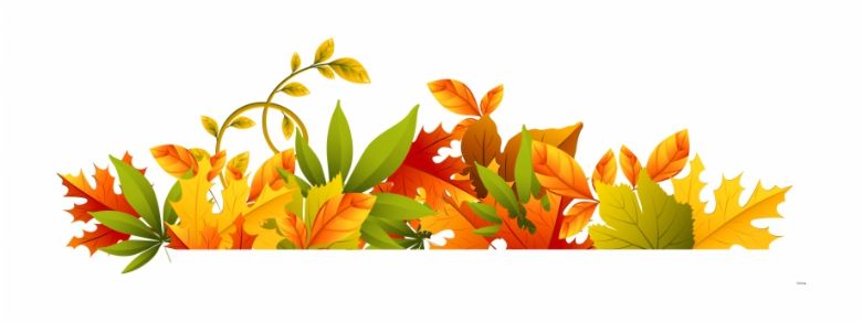 Primet Primary School - Year 2